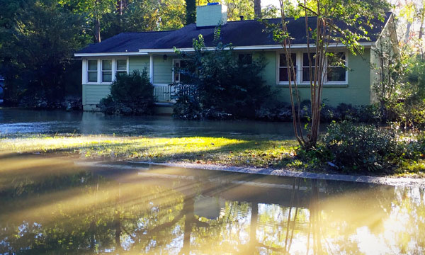 Understanding Septic System Failure | Causes, Signs, and Prevention Tips